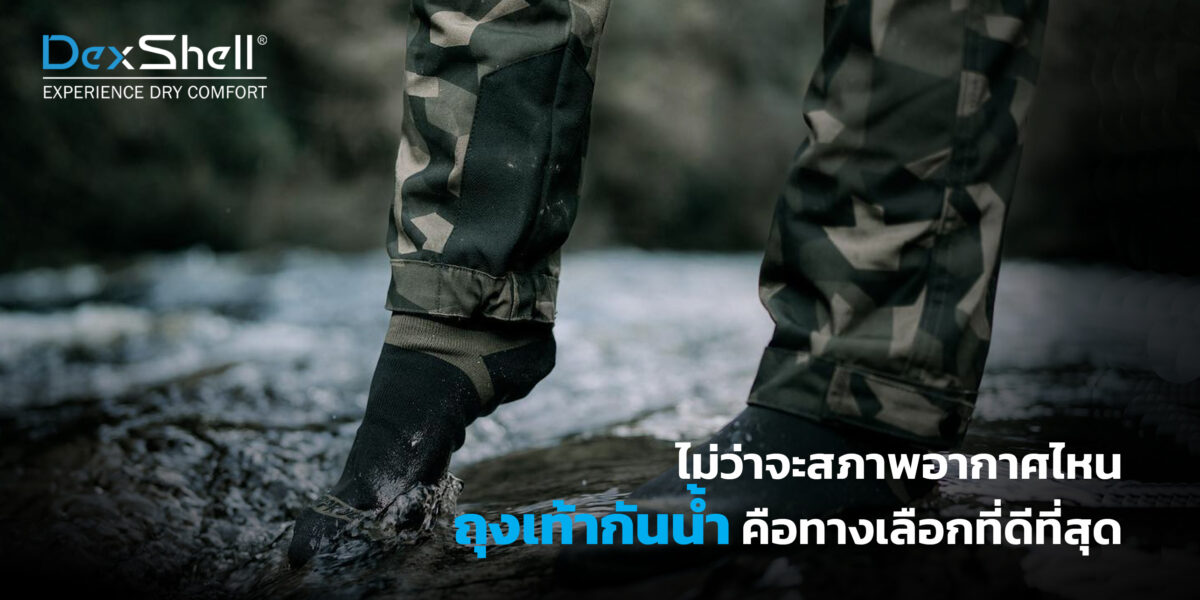 DexShell Archives - InTrendMall